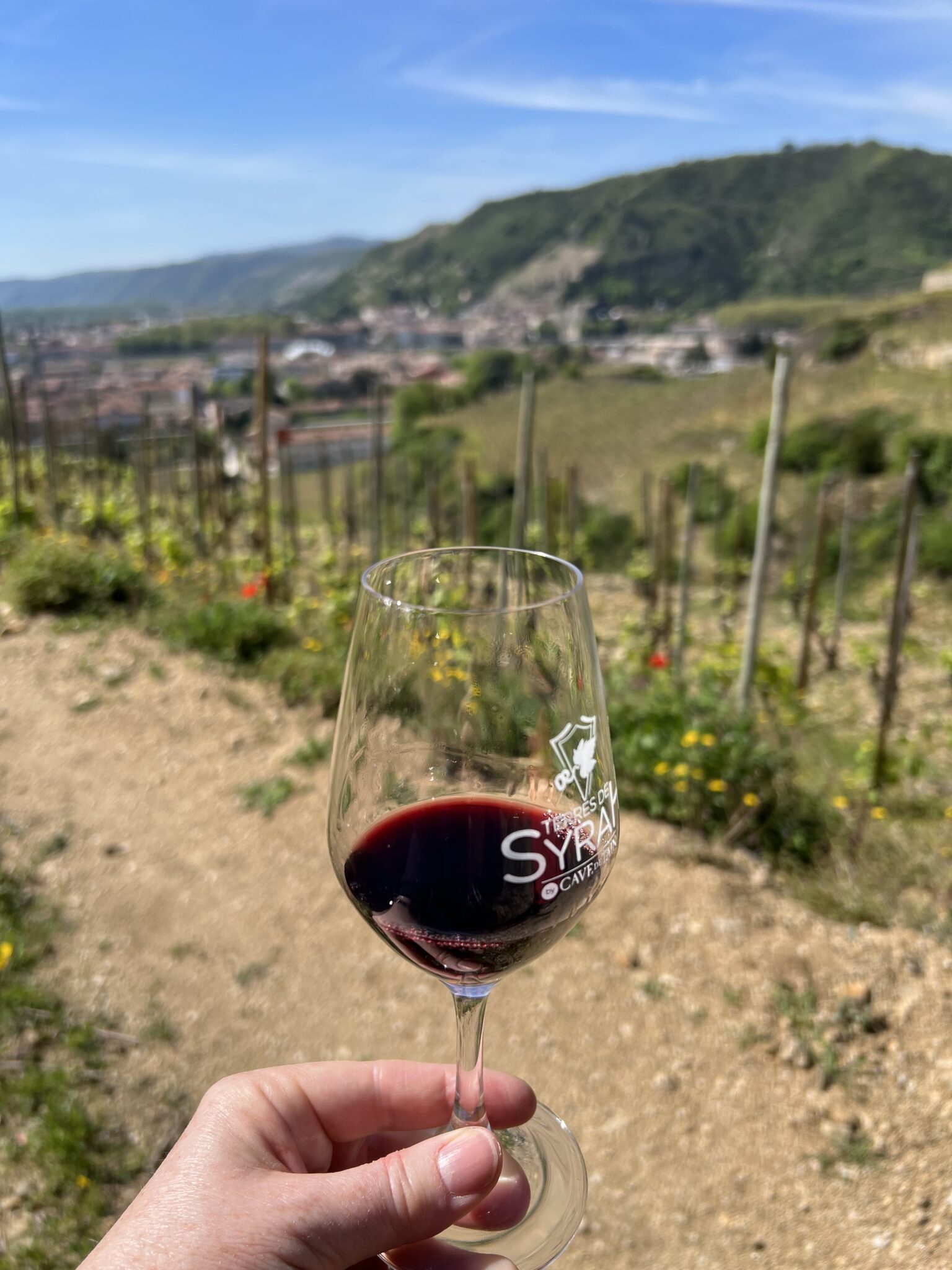 The Best Wine River Cruises for Wine Lovers - River Cruising